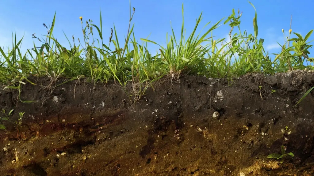 Soil4U Home - Soil4U!